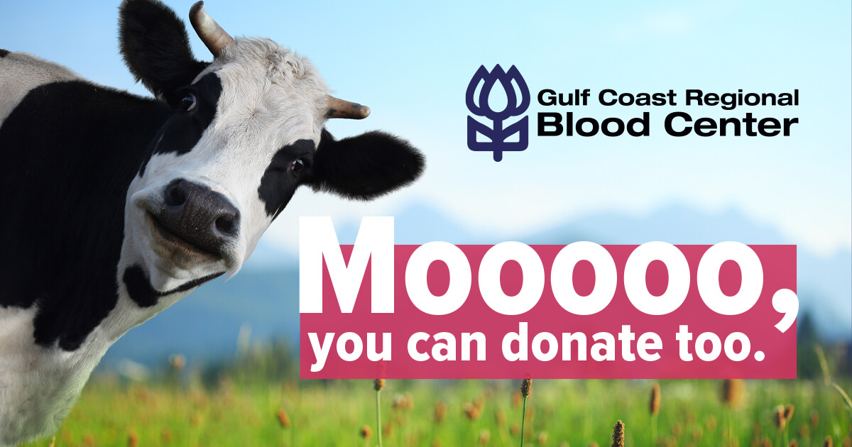 We knew y’all weren’t mad | Gulf Coast Blood